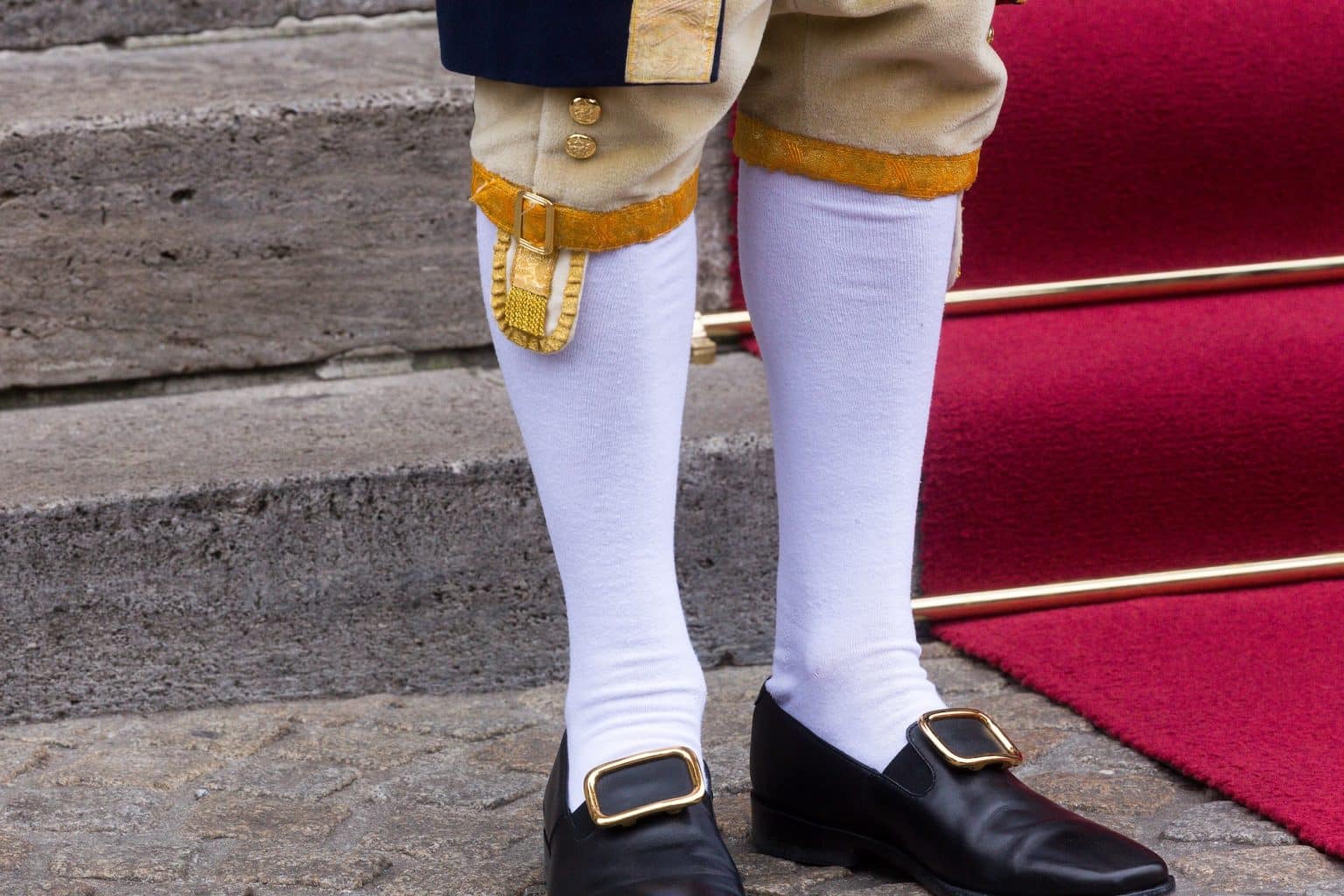 Dít zijn de werkzaamheden van de lakei van koning Willem-Alexander