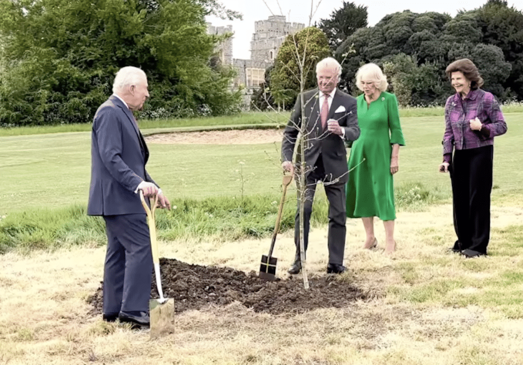 Charles en Carl Gustaf planten boom in tuin van Windsor Castle
