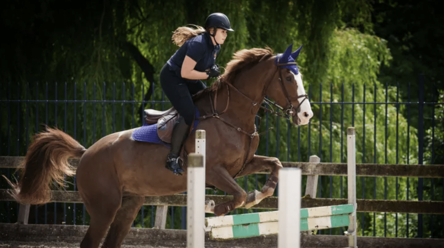 Actueel: Prinses Amalia breekt arm na val van paard